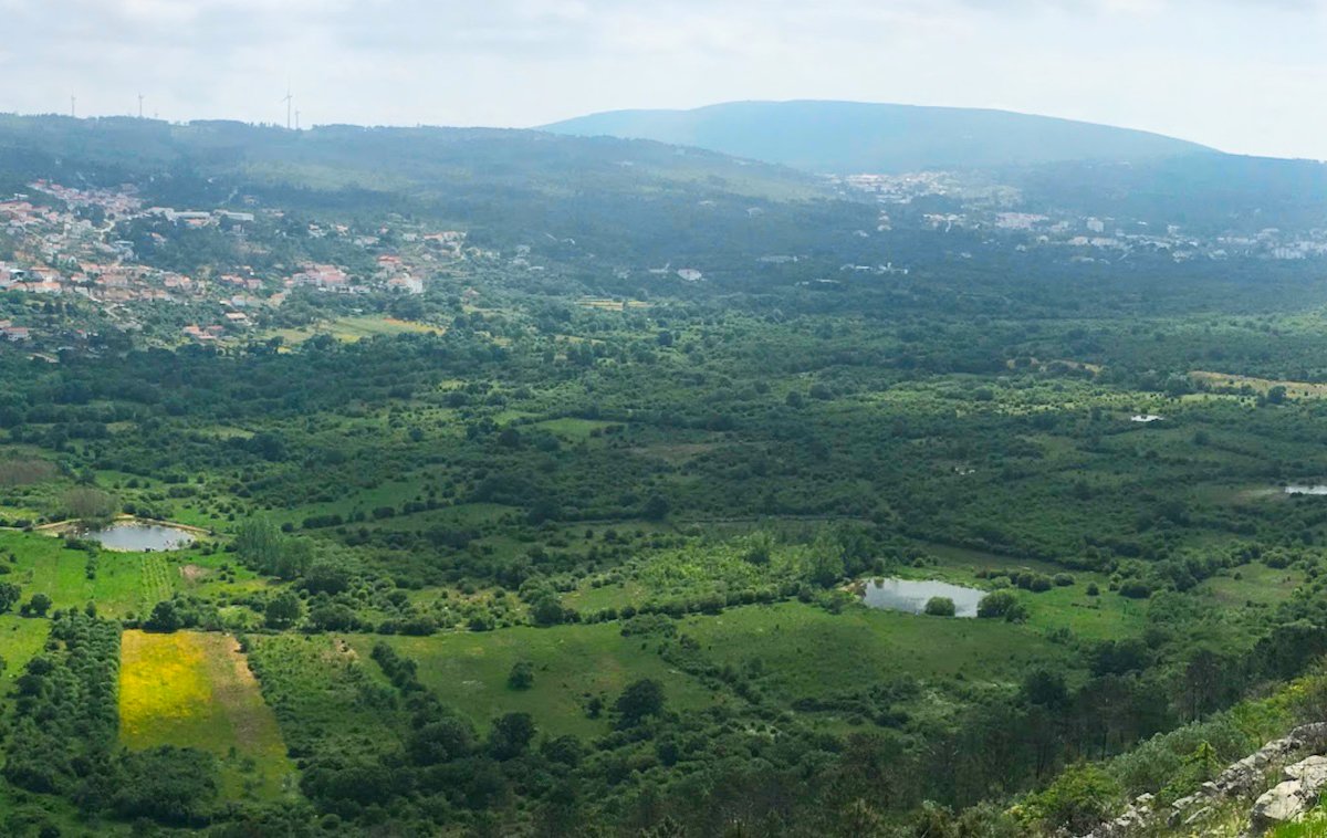 Mata – Mira-Minde