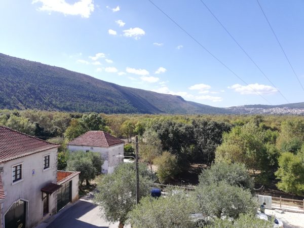 O Polje Mira-Minde – Mira-Minde