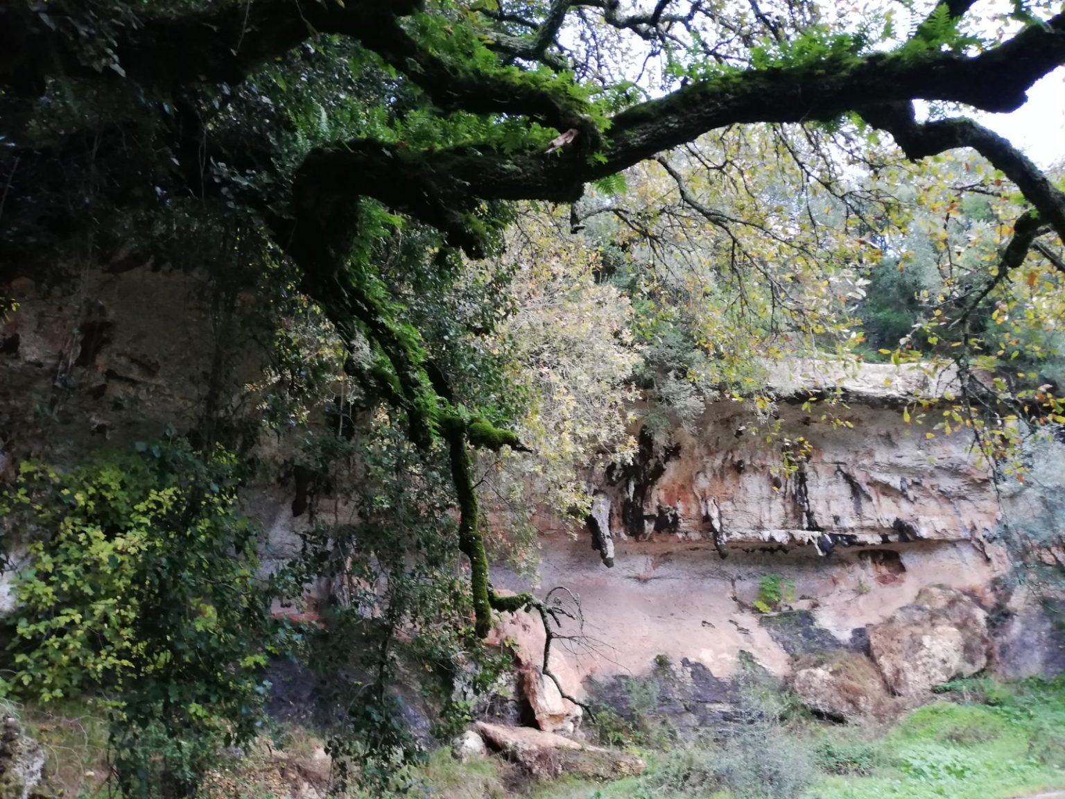 O Polje Mira-Minde – Mira-Minde