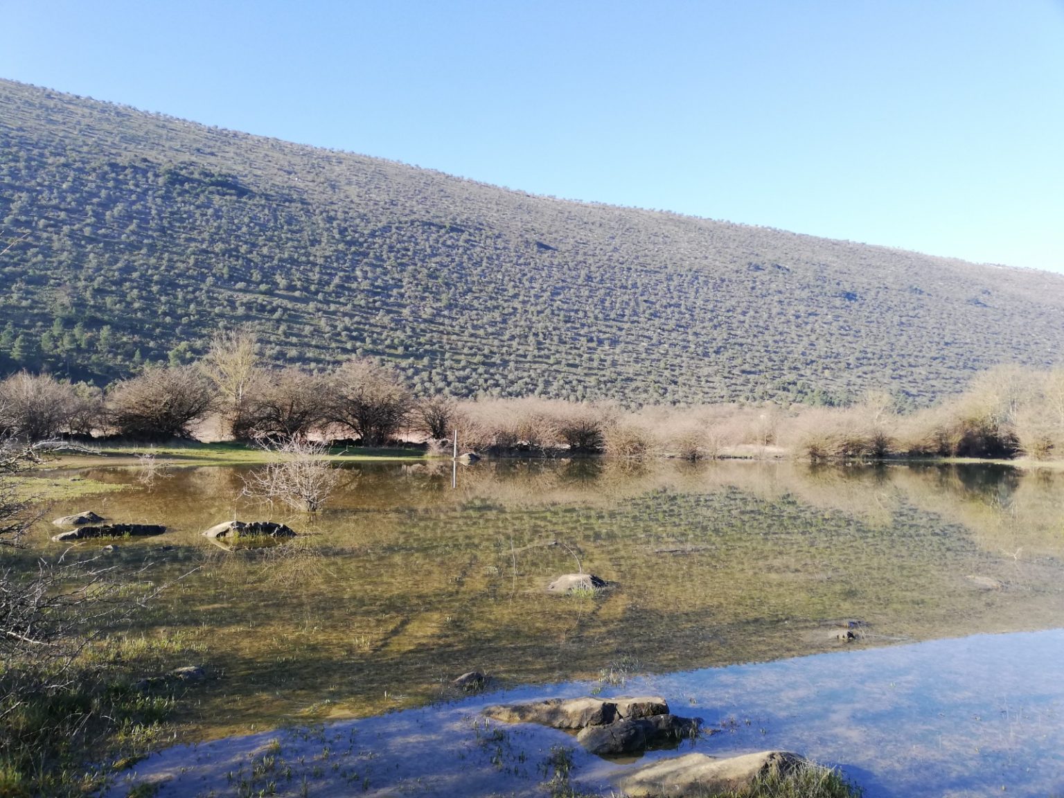 O Polje Mira-Minde – Mira-Minde