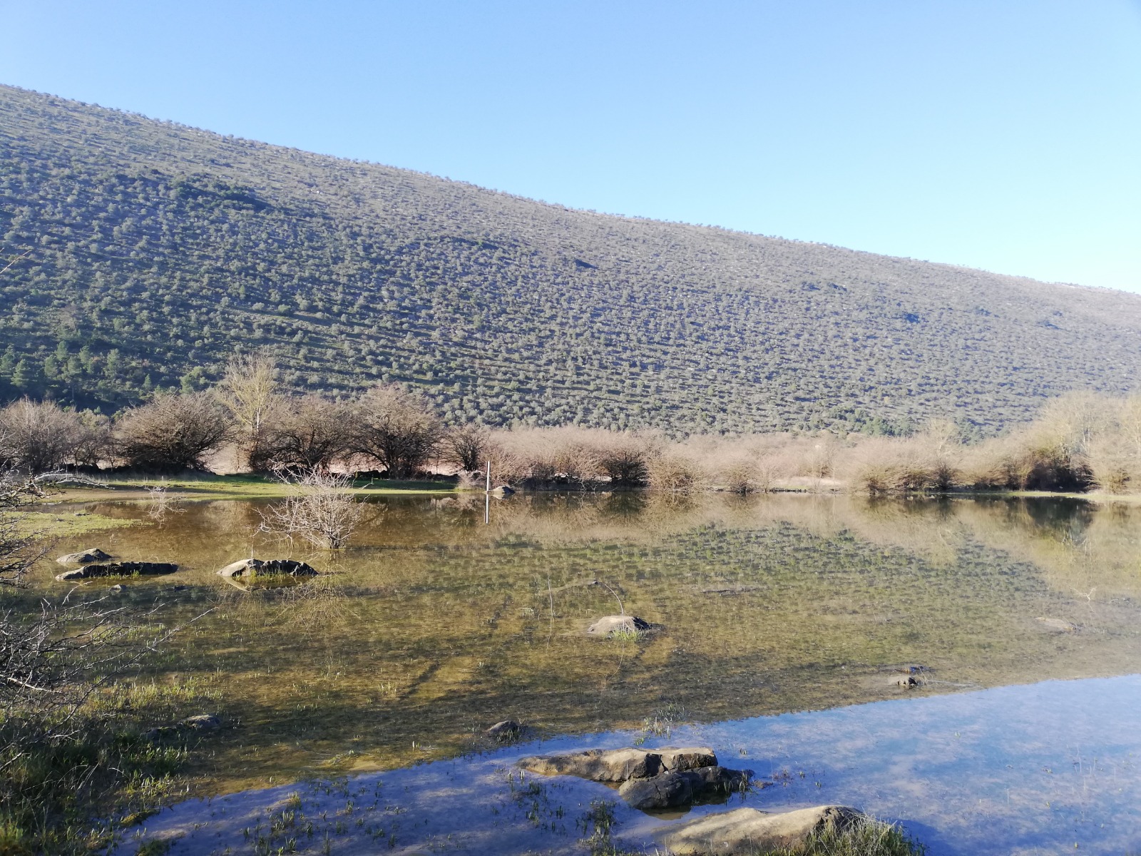O Polje Mira-Minde – Mira-Minde